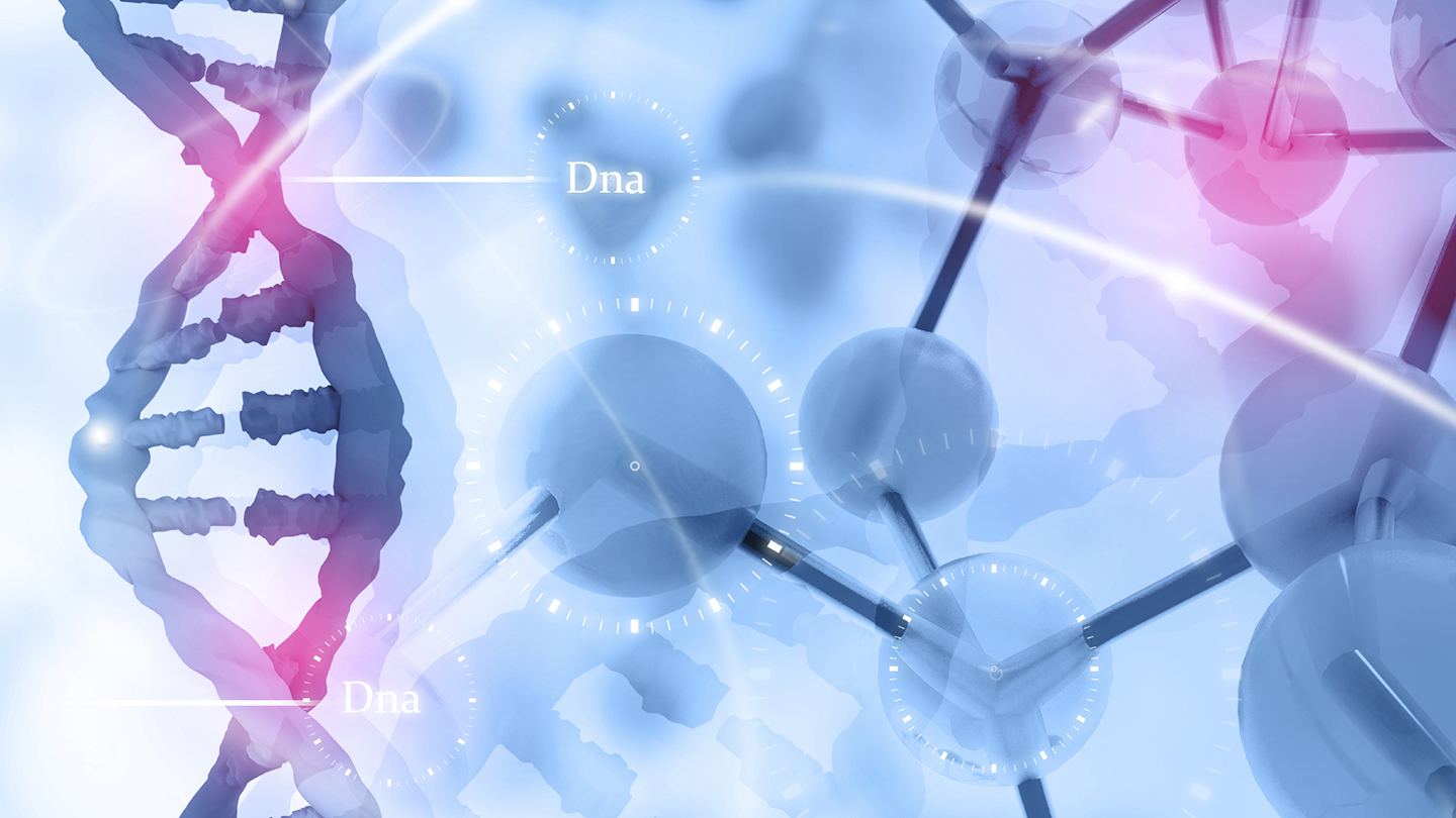 Empowering the Patient through Genetic Counseling | Bay Path University