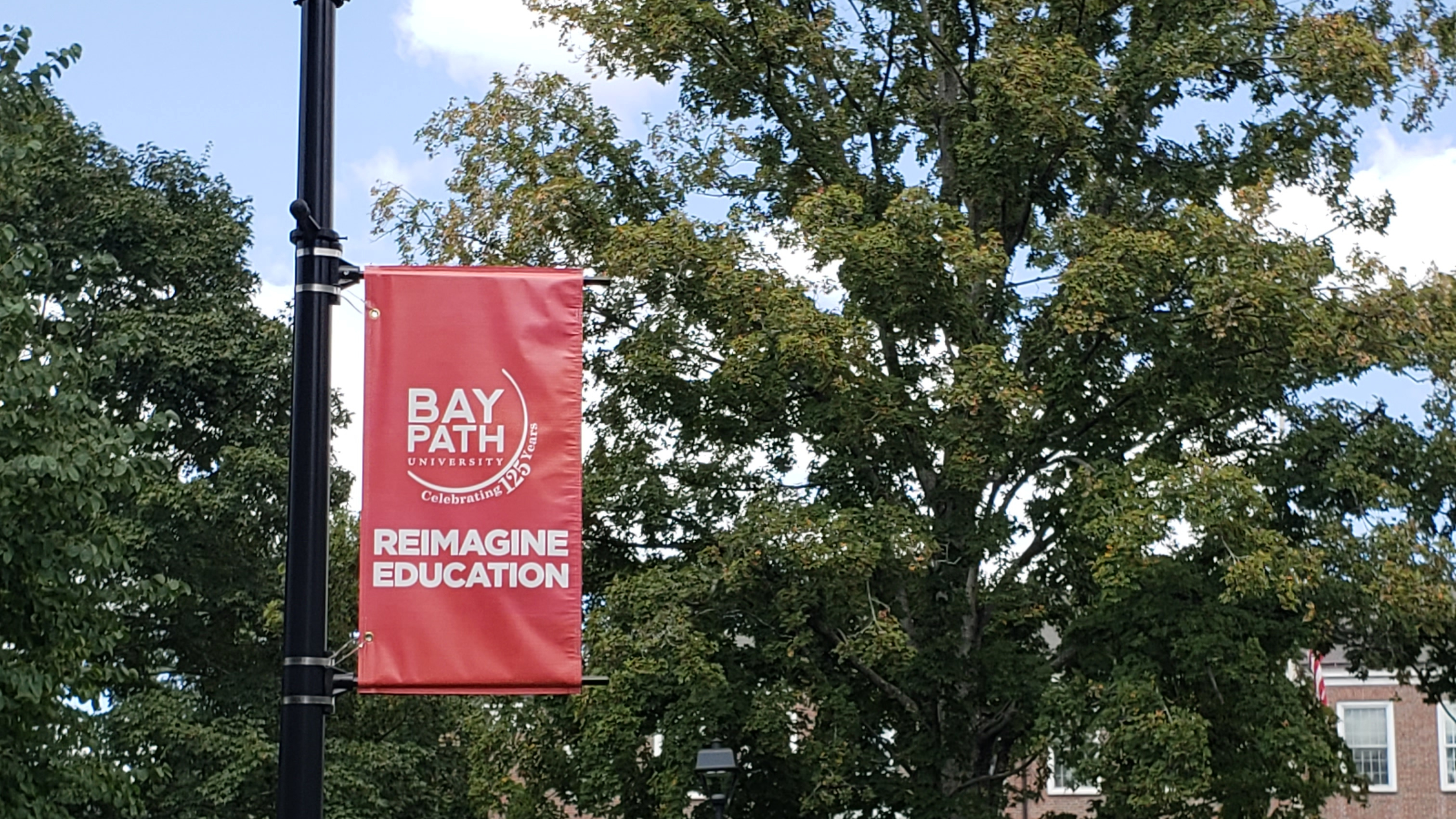 Looking at Lifelong Learning | Bay Path University