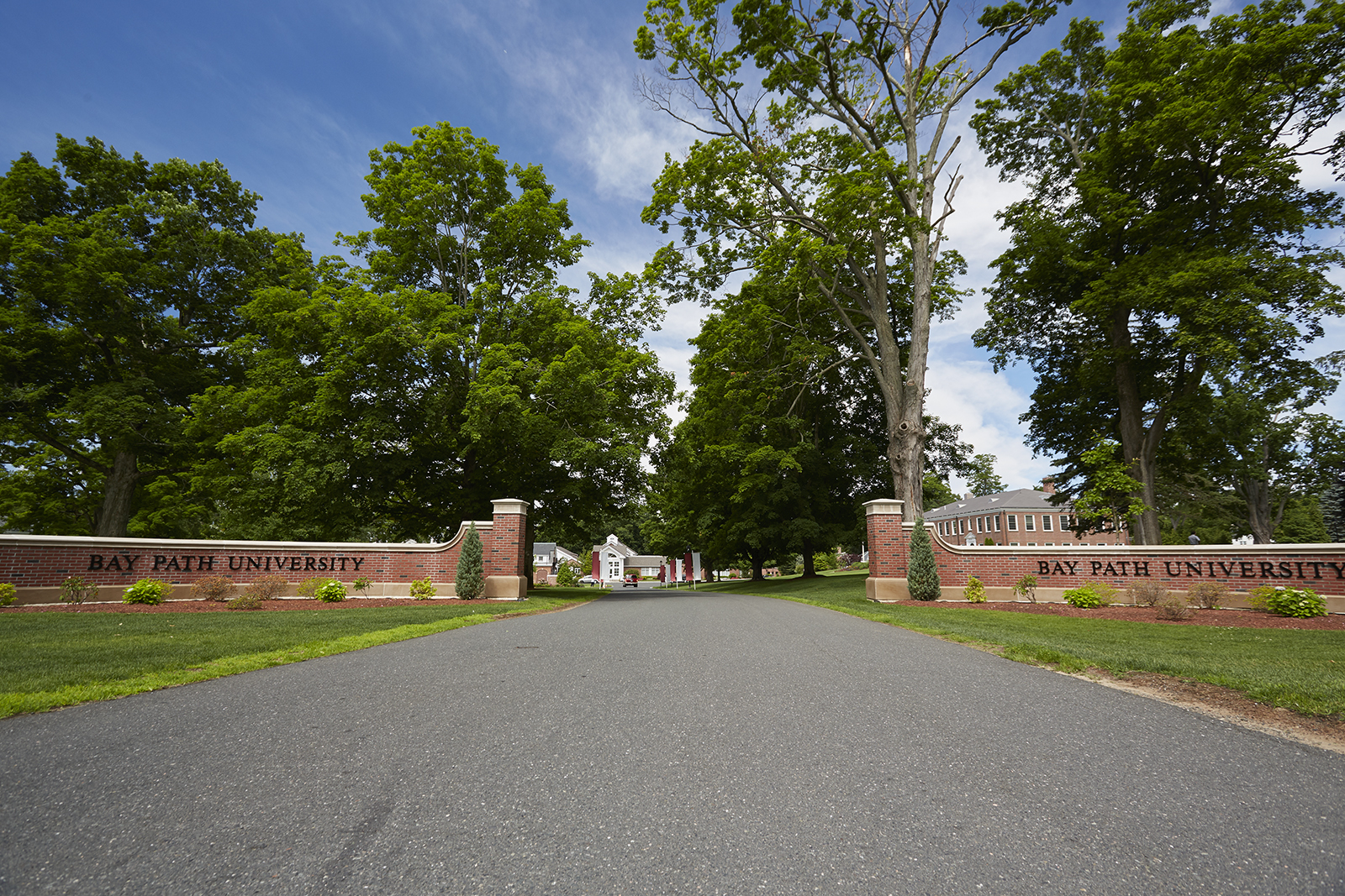 Bay Path University Appoints Reena Lichtenfeld, Ed.D. as Vice President ...