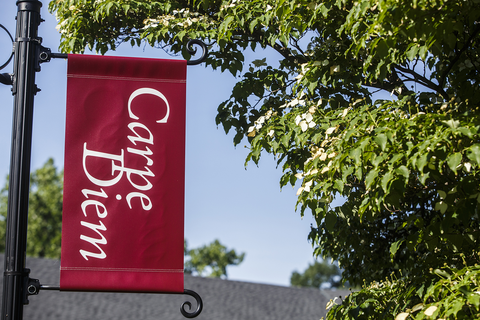 Michael Giampietro Promoted to Senior Vice President | Bay Path University