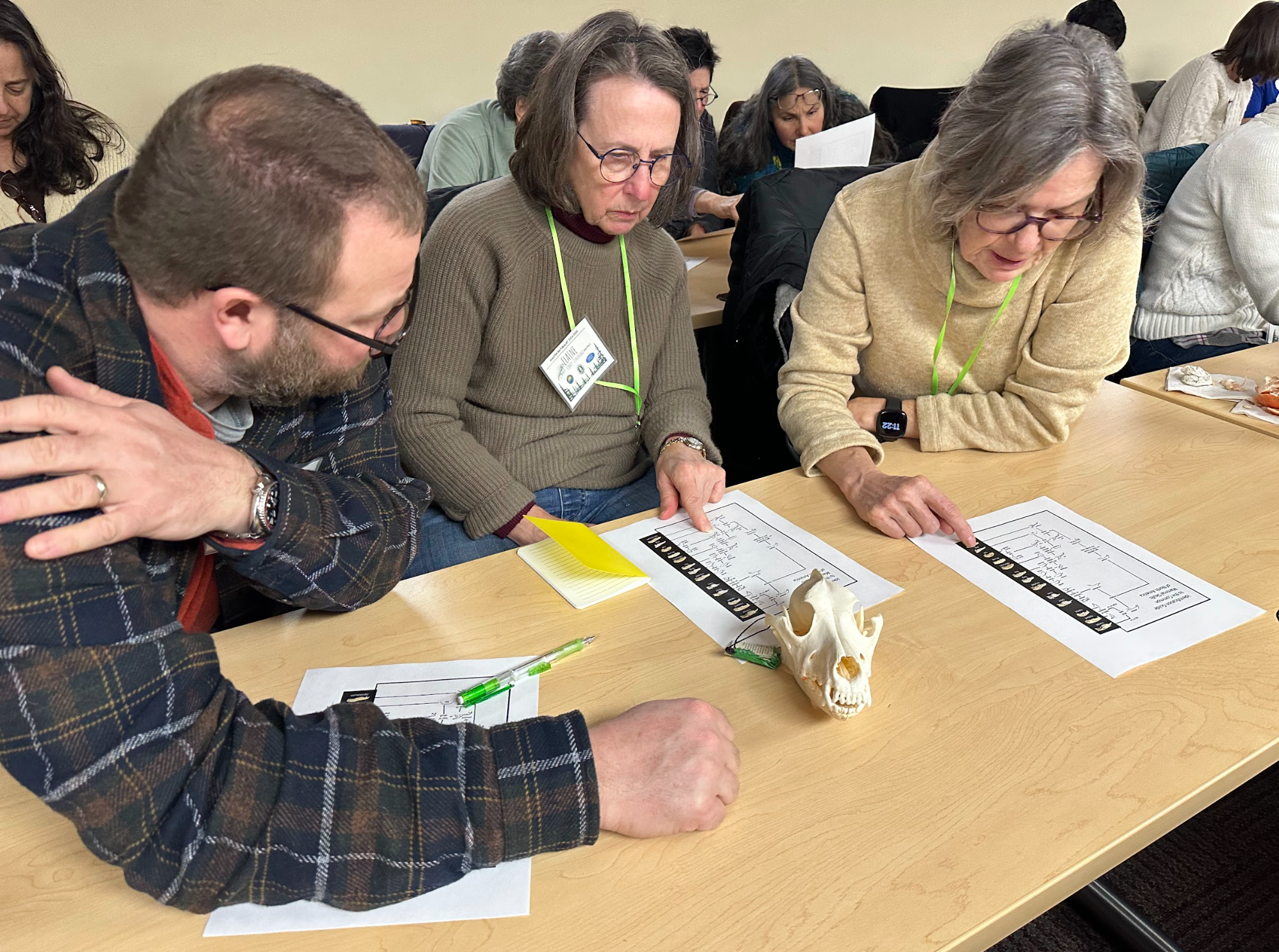 Bay Path University Hosts Master Naturalist Workshop to Promote ...